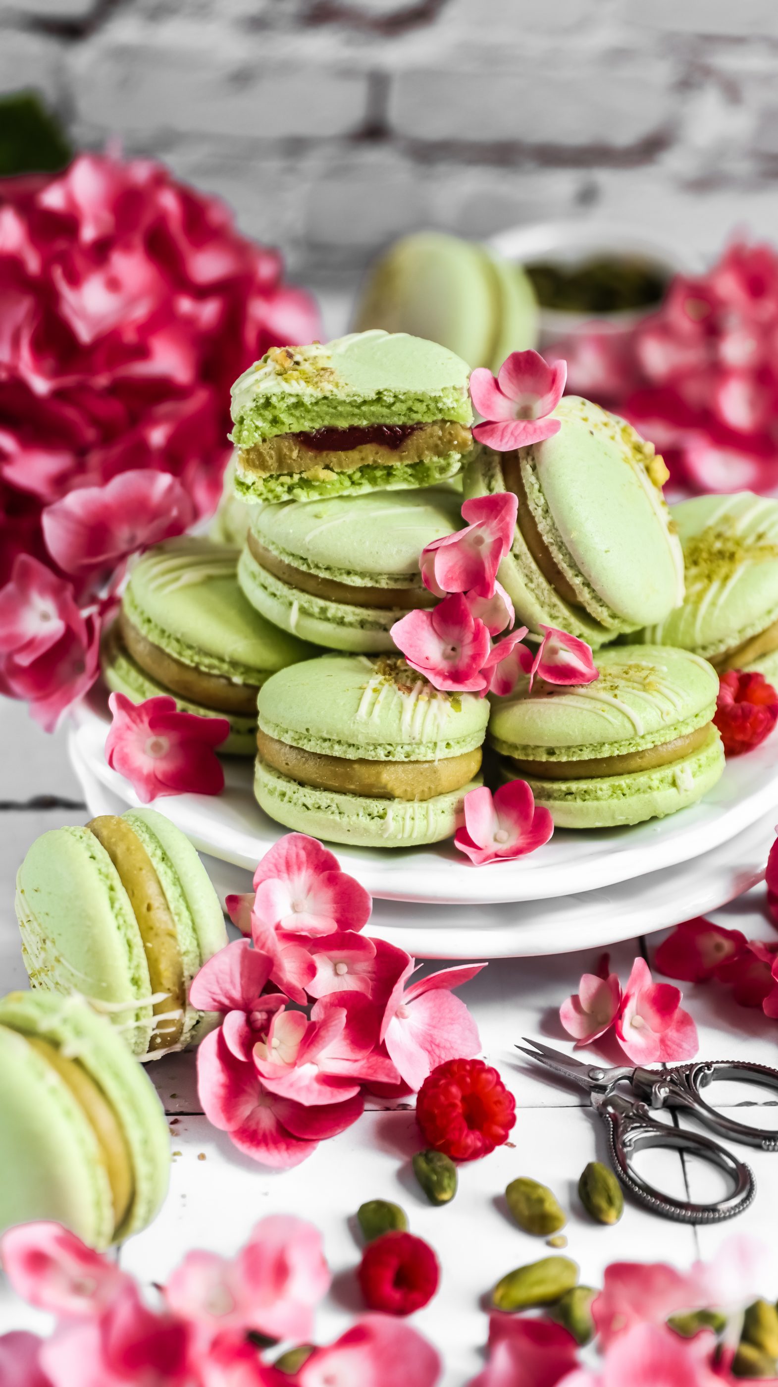 Macaron à la pistache • Autour du Sucre